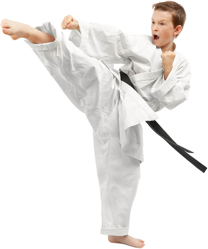Hino Tori Karate